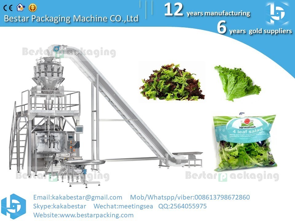 How to make the fresh vegetable salad from washing,slicing,drying and ...